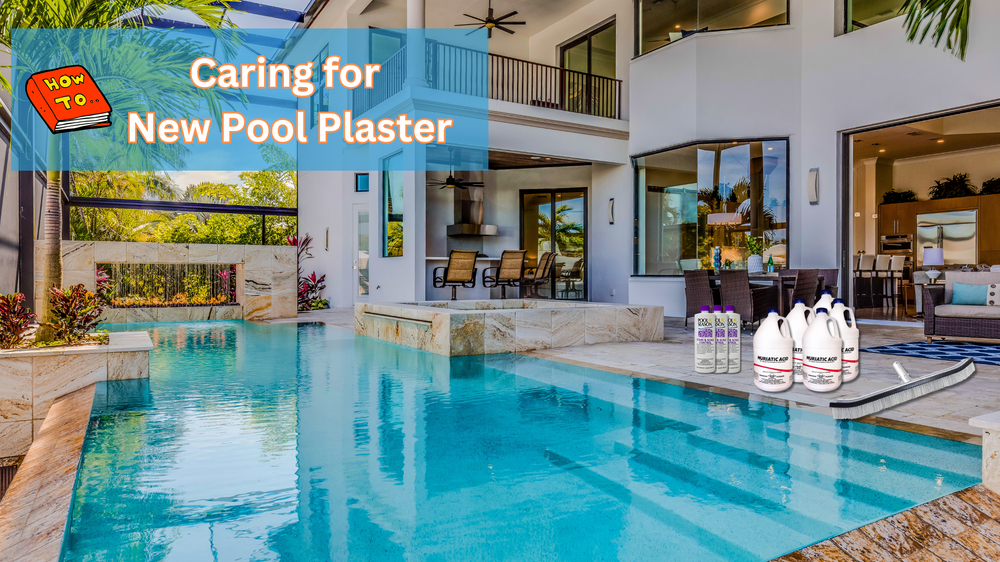 The EZ Guide to Aftercare for Your Newly Plastered Pool | Make it EZ ...